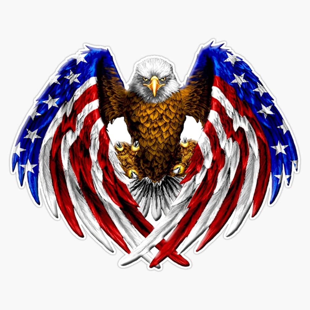 Amazon.com - Usa Eagle Sticker Bumper Sticker Vinyl Decal 5"