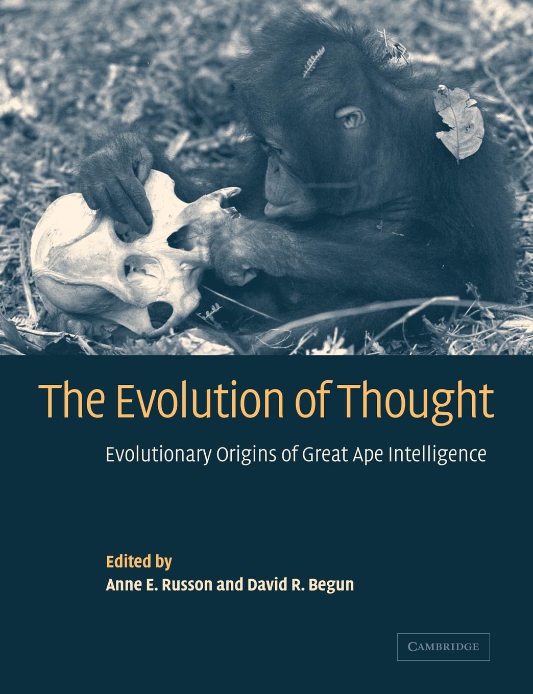 The Evolution of Thought: Evolutionary Origins of Great Ape ...
