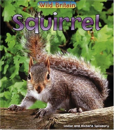 Squirell: Louise Spilsbury: 9780431039299: Amazon.com: Books