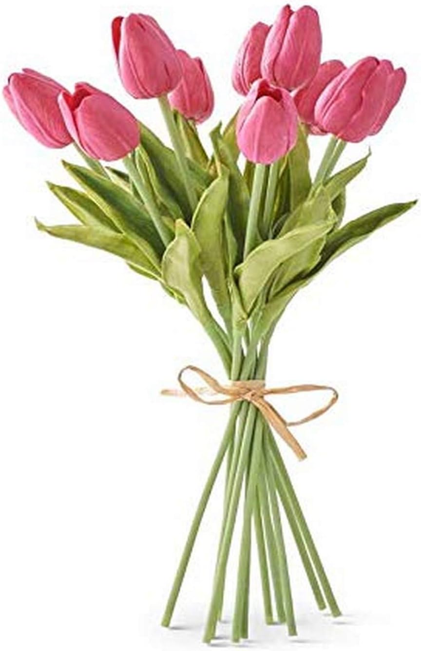 Amazon K K Interiors 11399b Fu 13 5 Inch Fuchsia Real Touch Mini