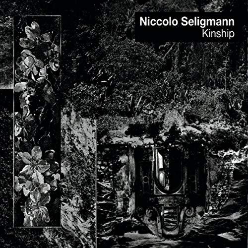 Kinship by Niccolo Seligmann on Amazon Music - Amazon.co.uk