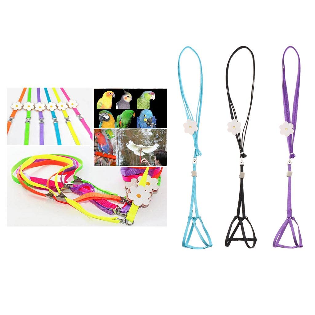 CALANDIS® Outdoor Parrot Rope Pet Leash Adjustable Bird Harness S Blue ...