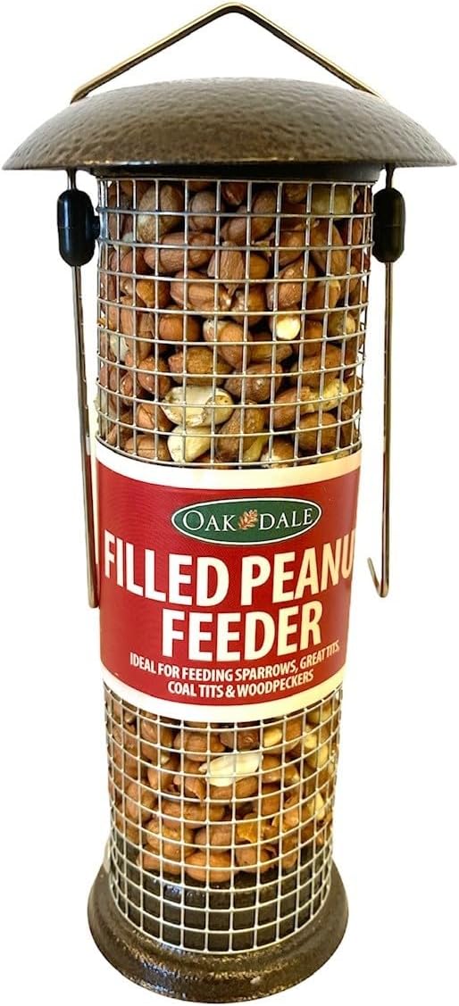 Fallen Fruits Ltd FB389 ACORN BIRD FEEDER, Grey, 31.0 cm*14.0 cm*14.0 ...