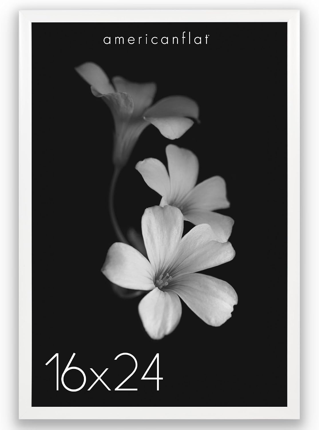 Amazon.com: Americanflat 16x24 Poster Frame in White - Deep Molding ...