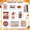Amazon.com: Amyhill 13 Pcs Fall Thanksgiving Tiered Tray Decor Set ...