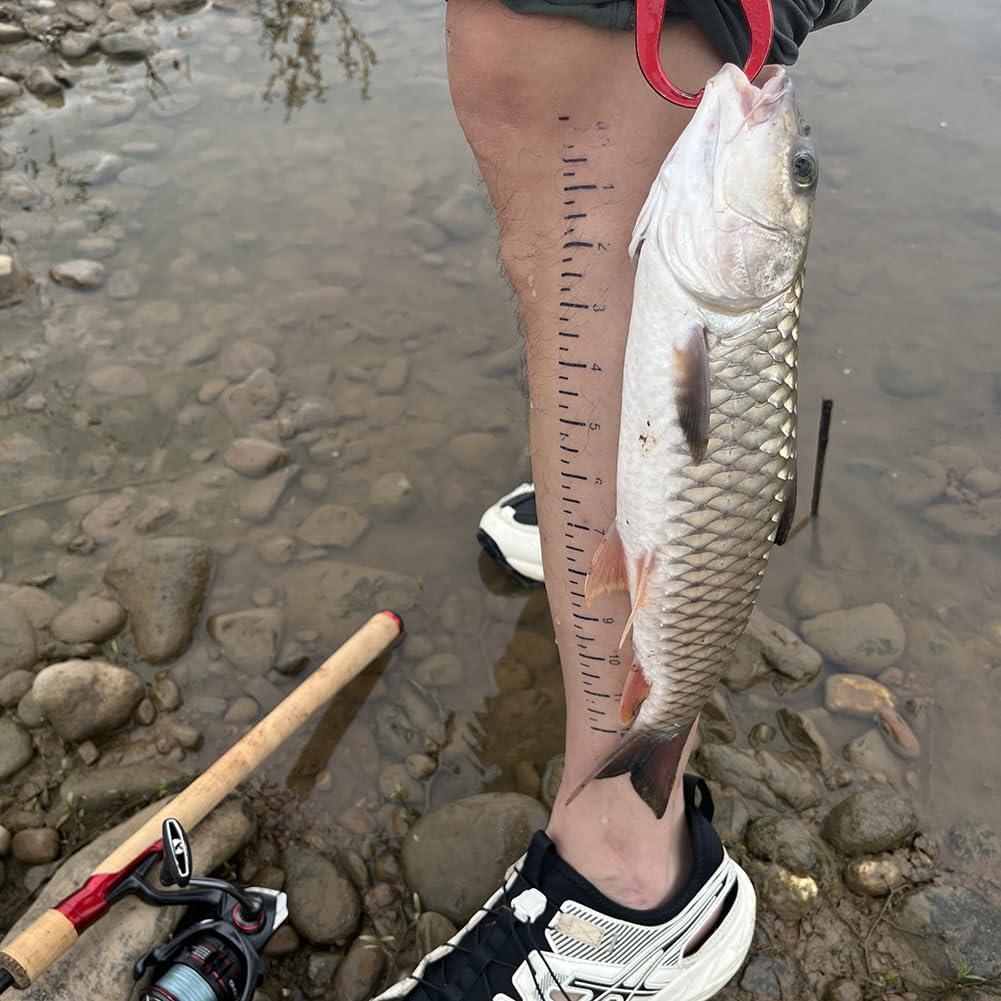 Fish Ruler Tattoos Koi Sticker