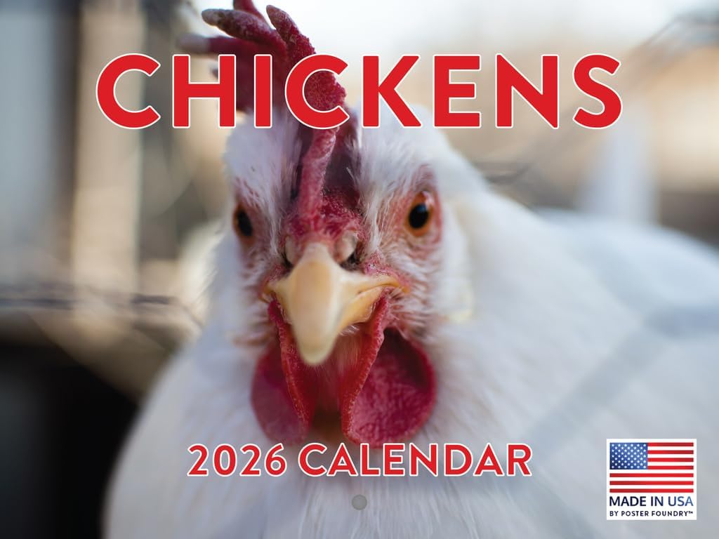 Chicken Calendar 2026 Monthly Wall Calender 12 Month | American Made In ...