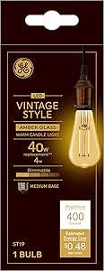 GE Vintage Style LED Light Bulb, 40 Watt, Amber Finish, ST9 Edison Style Bulbs (1 Pack) - Amazon.com