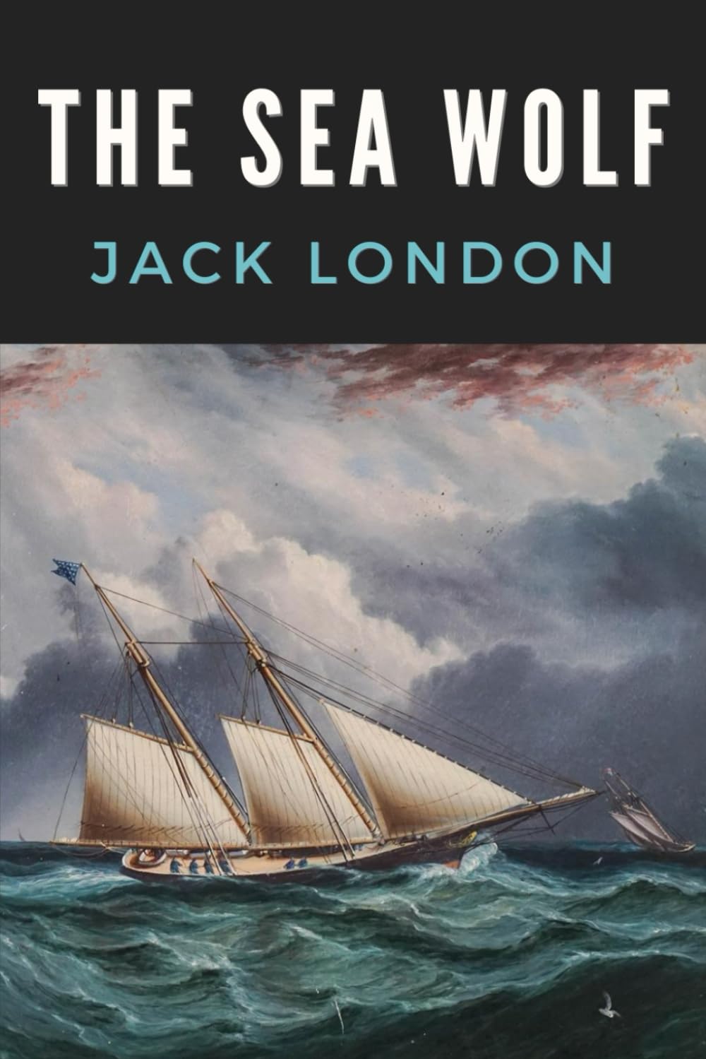 Amazon.com: The Sea Wolf: LARGE PRINT BOOK - The Original 1904 Maritime ...