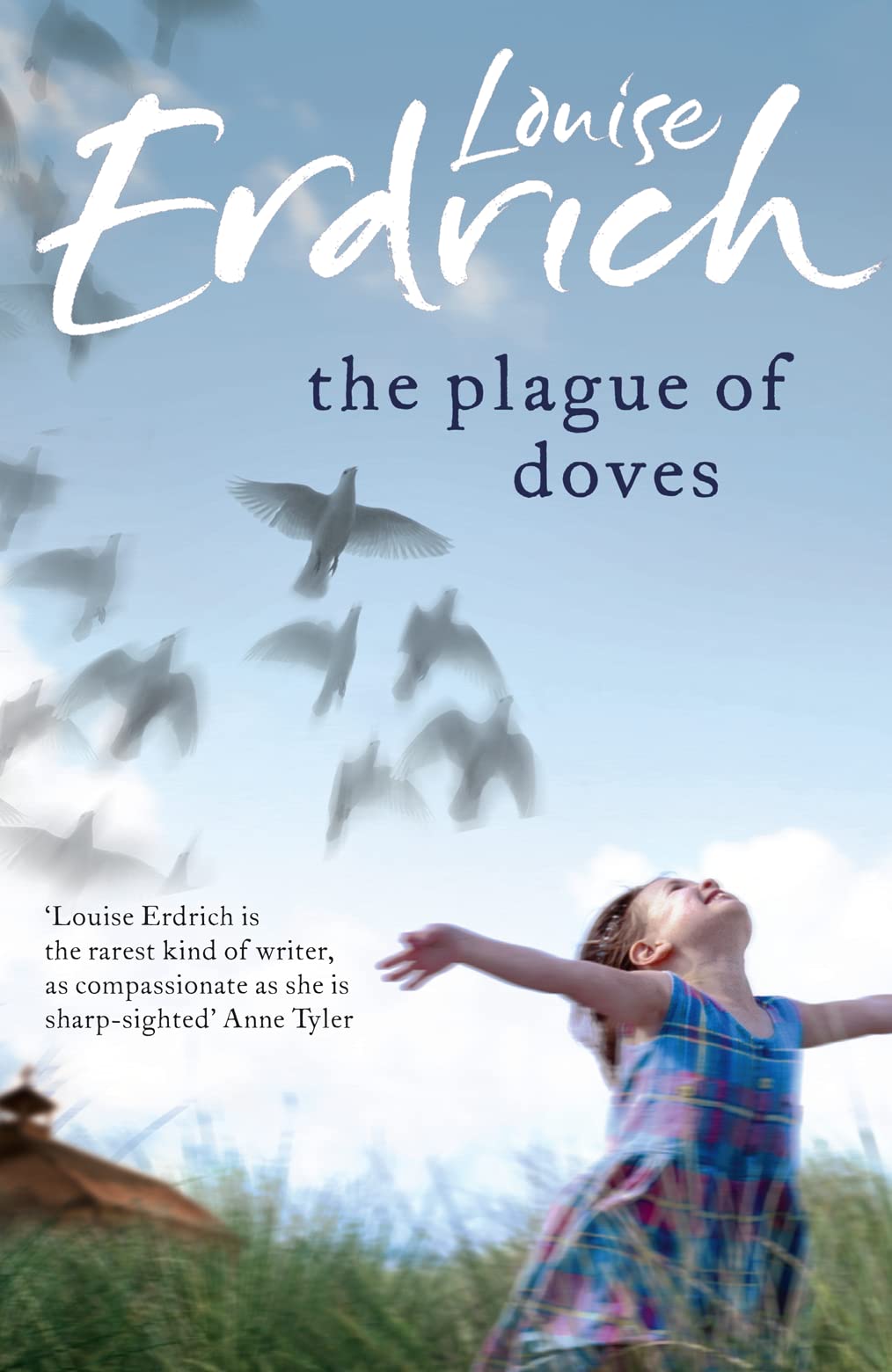 The Plague of Doves : Erdrich, Louise: Amazon.co.uk: Books