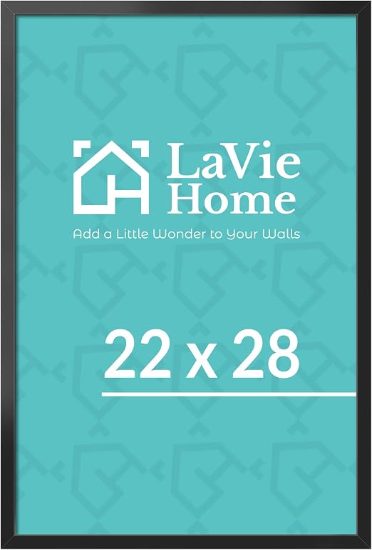 Amazon.com - LaVie Home 22x28 Picture Frame for Wall Display, 22x28 ...