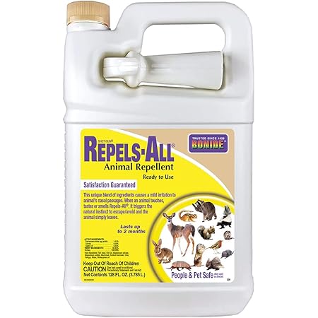 Amazon.com: Bonide Hot Pepper Wax Animal Repellent, 32 oz Ready-to-Use ...