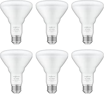 SHINESTAR Can Light Bulbs, Warm White 2700K, BR30 LED Recessed Lights ...