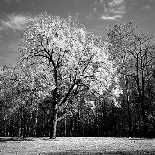 A Change of Seasons de Joseph Dail no Amazon Music Unlimited