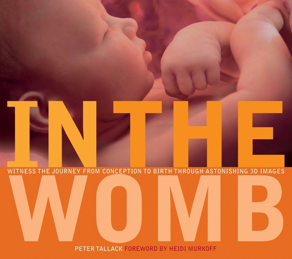 Amazon.com: In the Womb: Witness the Journey from Conception to Birth ...
