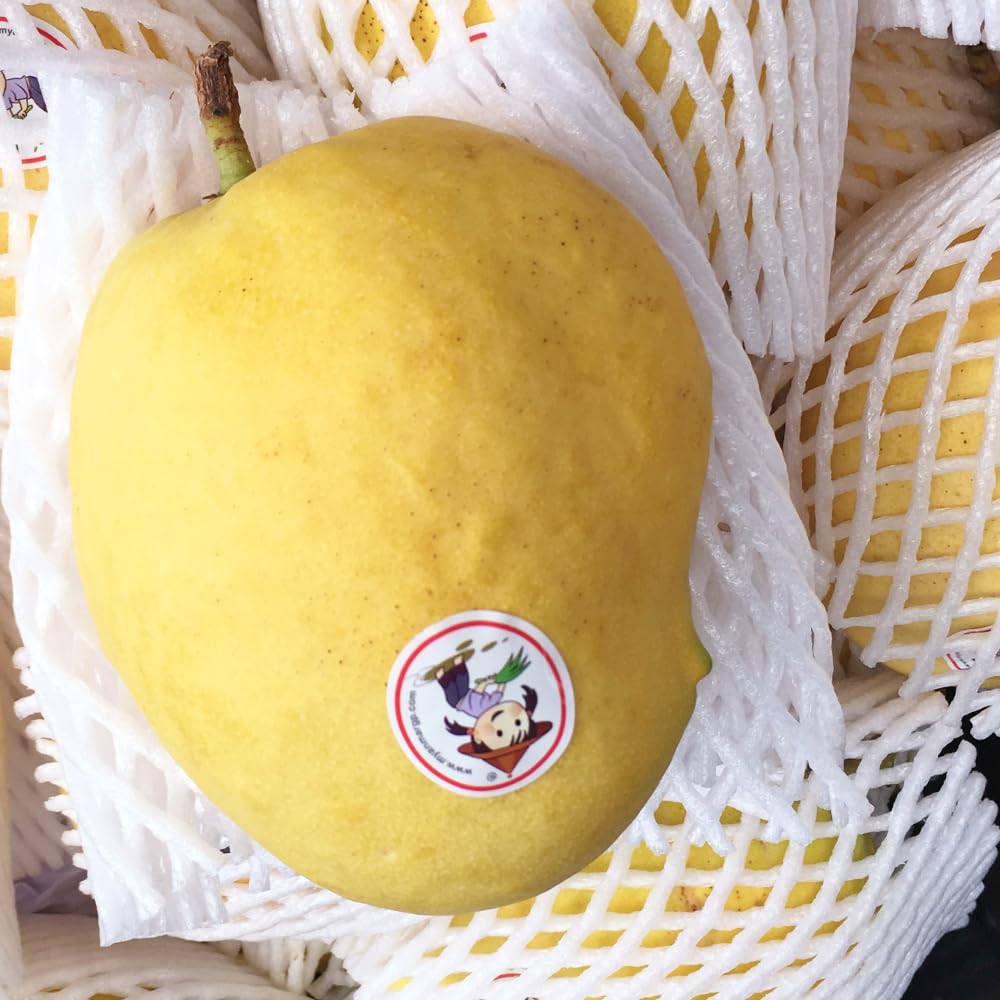 Pyanabi Nursery Sein Ta Lone originated in Myanmar Mango Plant (Grafted Plant Height 2-3 Feet ...