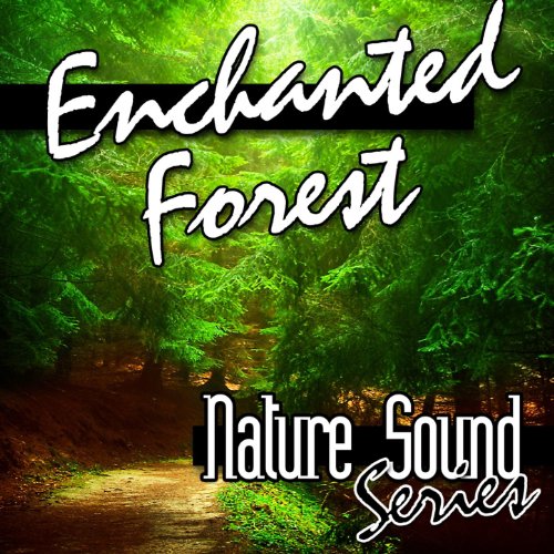 Enchanted Forest (Nature Sounds) by Nature Sound Series on Prime Music