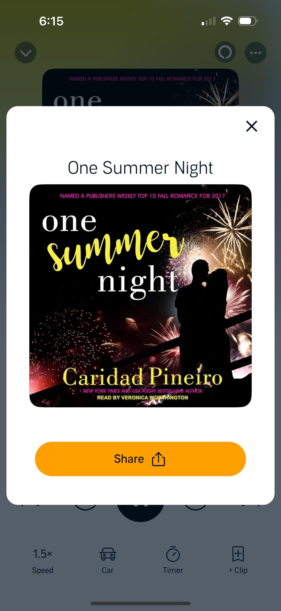 One Summer Night (At the Shore, 1): Pineiro, Caridad: 9781492649649 ...