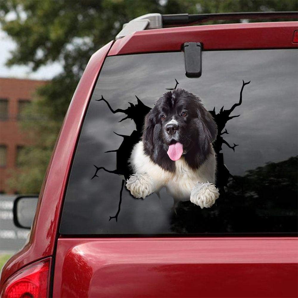 Amazon.com: Ocean Gift Newfoundland Car Decals, Dog Car Stickers Pack ...
