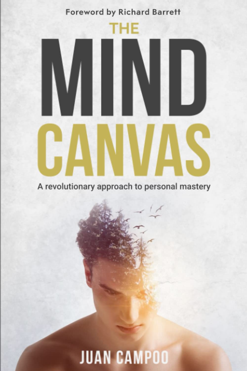 The Mind Canvas: A Revolutionary Approach to Personal Mastery: Campoo ...
