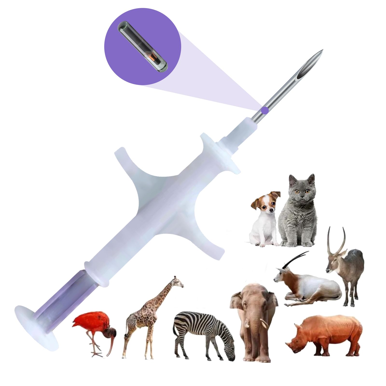 Amazon.com: Manruta Microchip ID Bioglass Tags Injectable 1 Pack, Use ...