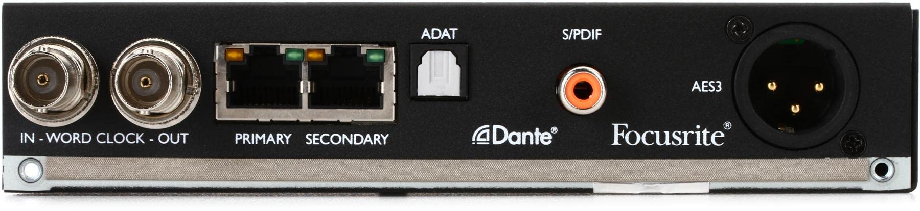 Snapklik.com : Focusrite ISA ADN2 Two-Channel Precision Analog-to ...