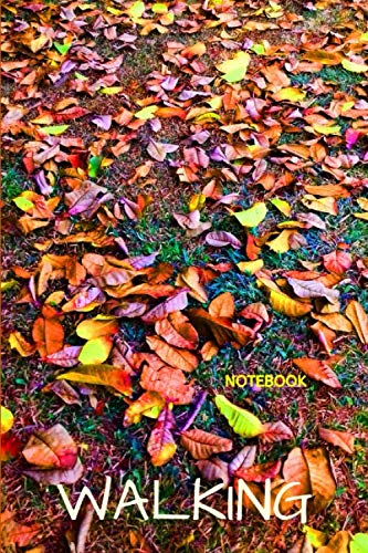 Walking Notebook: Lined Notebook Diary Journal gift for Walkers and ...