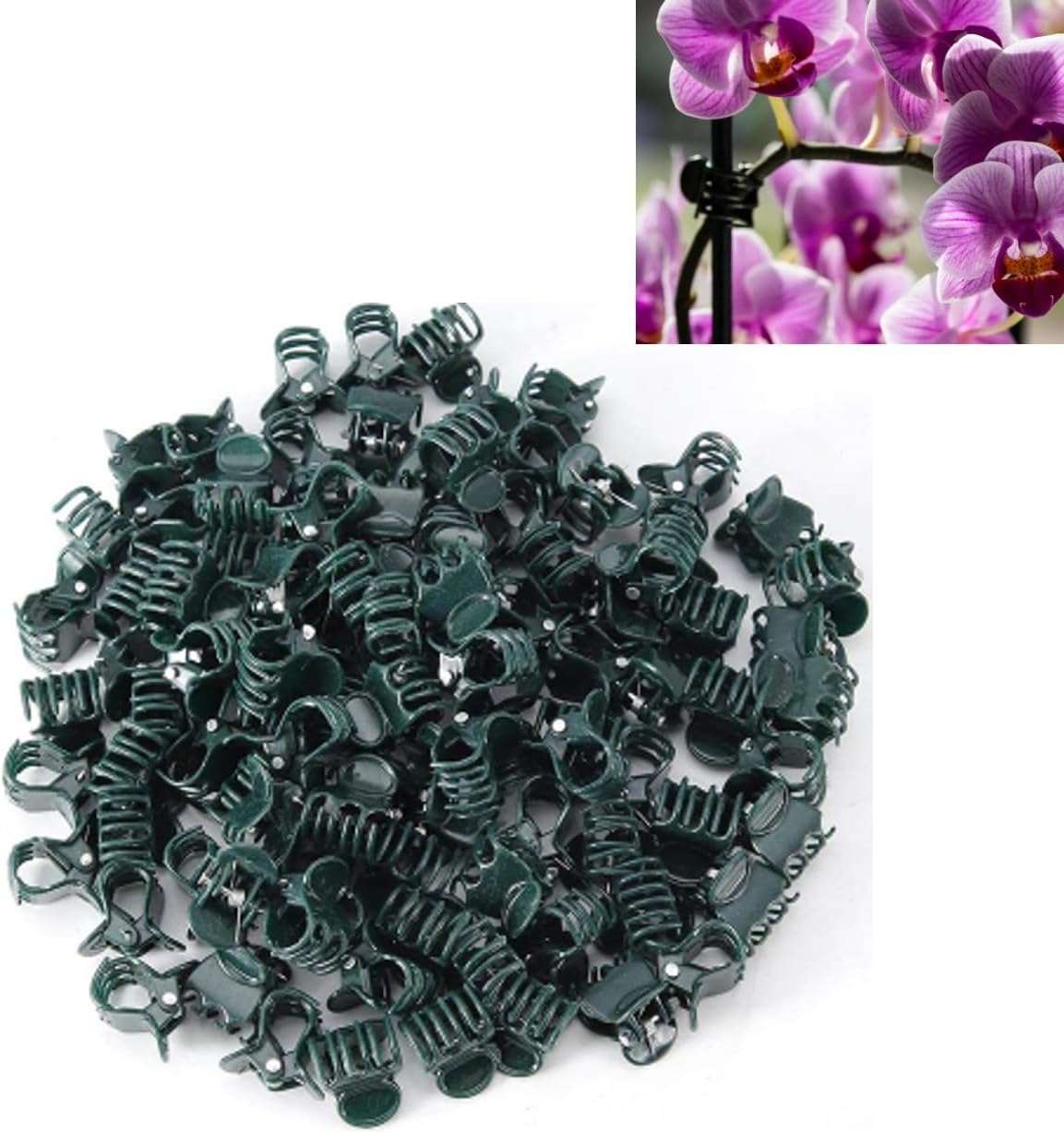 50 PCS Orchid Clips, Orchid Clips Plant Orchid Support Clips for ...