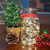 Everstar B/O 50 Led Wire Lights with Timer-Waterproof, 2PK - Amazon.com