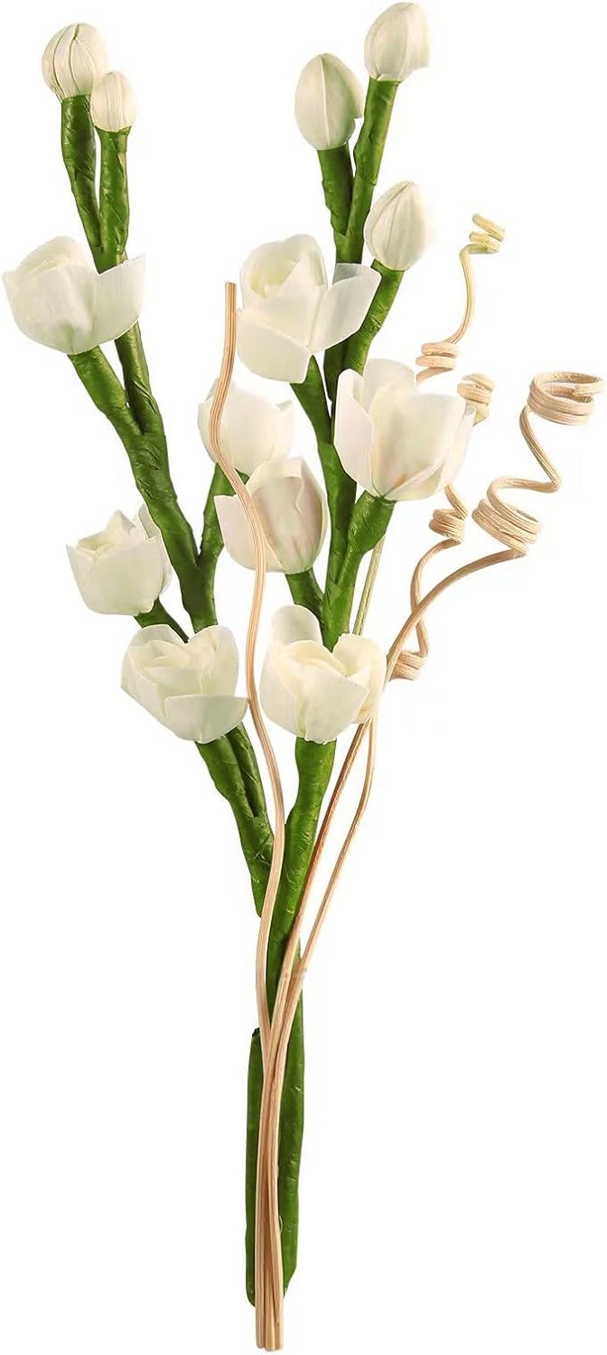 Amazon.com: Reed Diffuser Flower Sticks, Diffuser Reeds Sticks, Reed ...