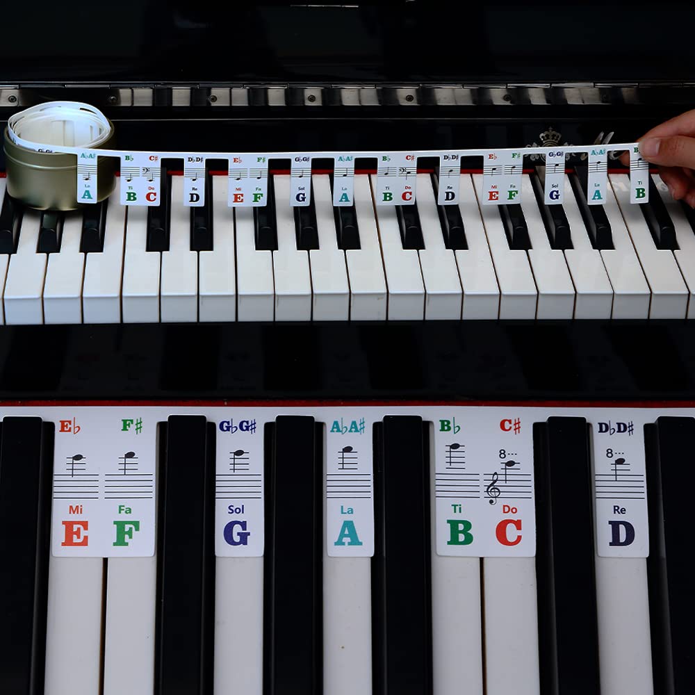 Snapklik.com : Piano Keyboard Stickers, Full-Size Piano Rake Key Labels ...