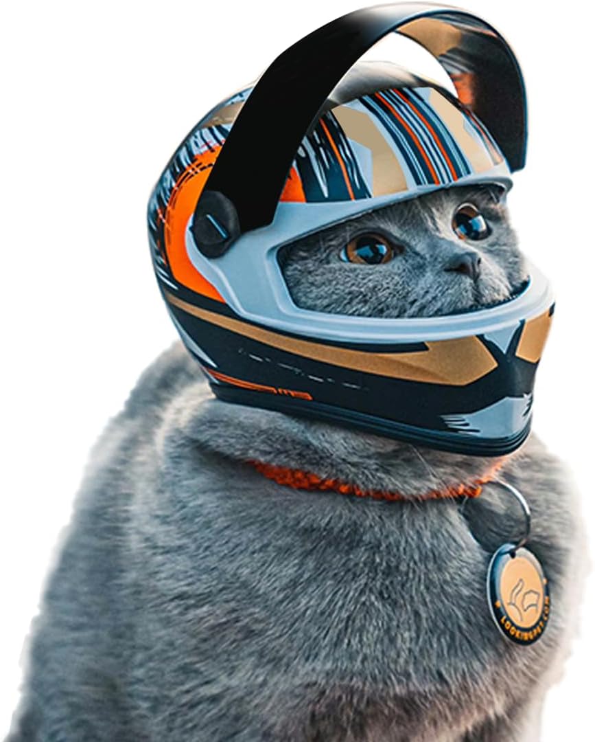 Amazon.com: GSYUWIH Pet Motorcycle Helmet,Lightweight and Delicate ...