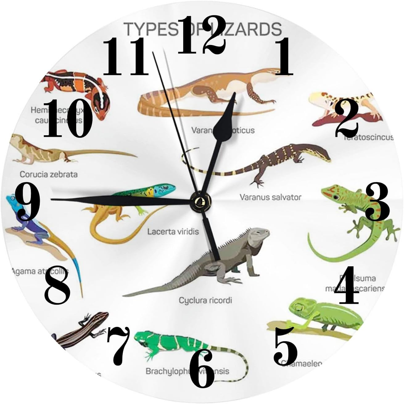 Amazon.com: SARNFANS Reptile 10 Inch Round Wall Clock Silent Non ...