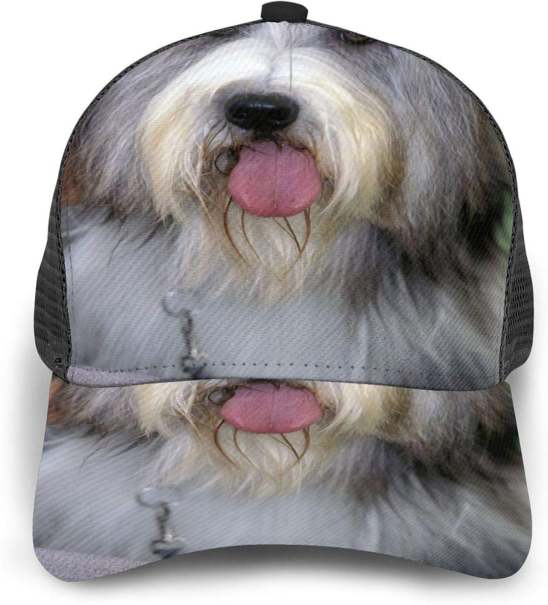 N A Hats For Men Baseball Cap Blissful Bearded Collie Dog Baseball Hat n-a-hats-for-men-baseball-cap-blissful-bearded-collie-dog-baseball-hat