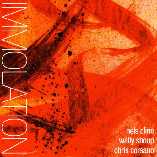 Amazon.com: Immolation/Immersion : Nels Cline/Wally Shoup/Chris Corsano ...