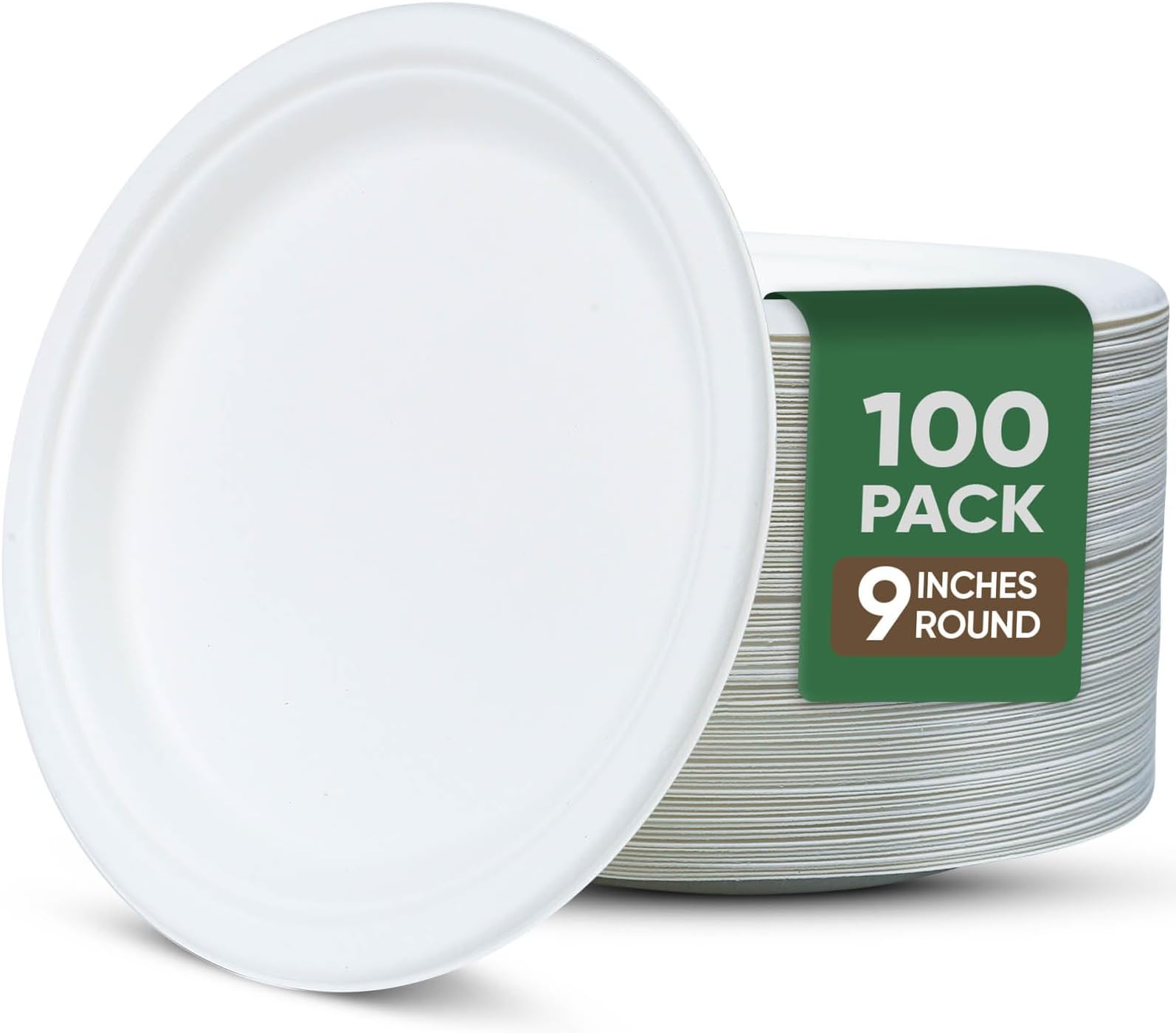 Amazon.com : Dixie Basic Paper Plates, White : Health & Household