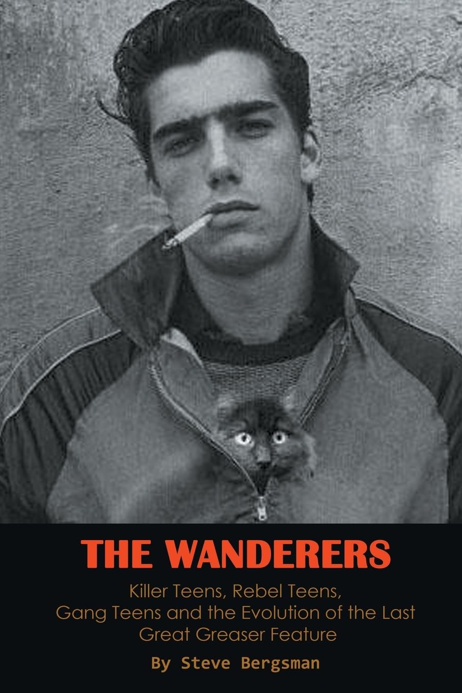 The Wanderers - Killer Teens, Rebel Teens, Gang Teens and the evolution ...