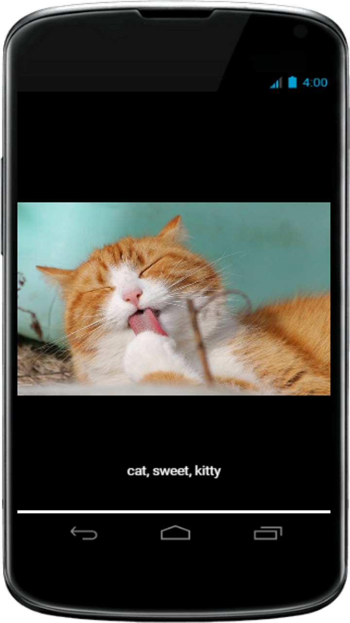 Cute Animal Wallpaper - App on Amazon Appstore