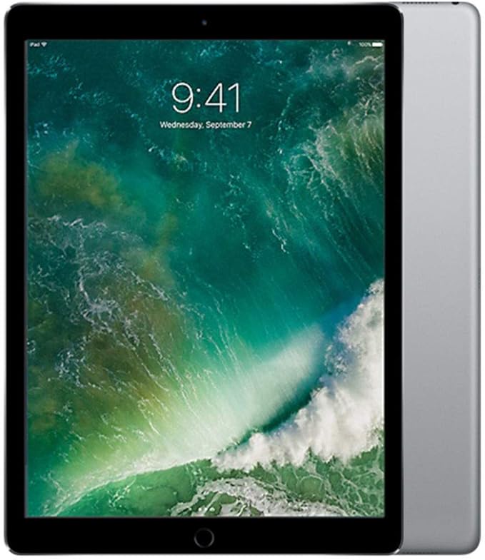 Apple iPad Pro Tablet(256GB, LTE, 9.7") Space Gray(Refurbished ...