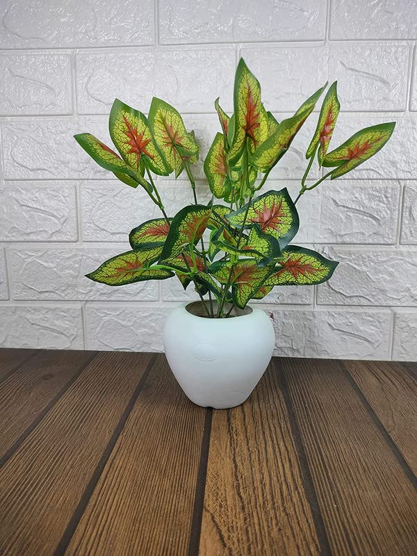 Buy VIMIFORYOU Balcony Plants, Terrace Plant, Decor Pot, Apple Design ...