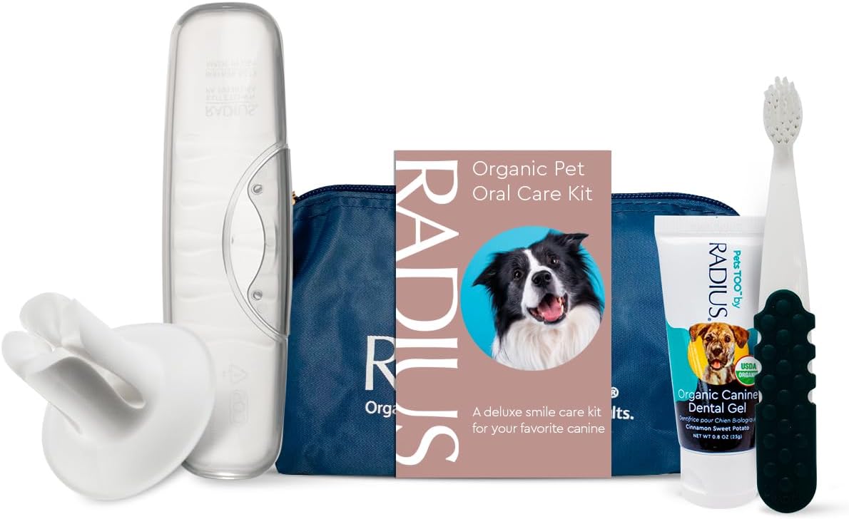 Amazon.com : RADIUS Big Clean Deluxe Oral Care Gift Set (Big Brush With ...