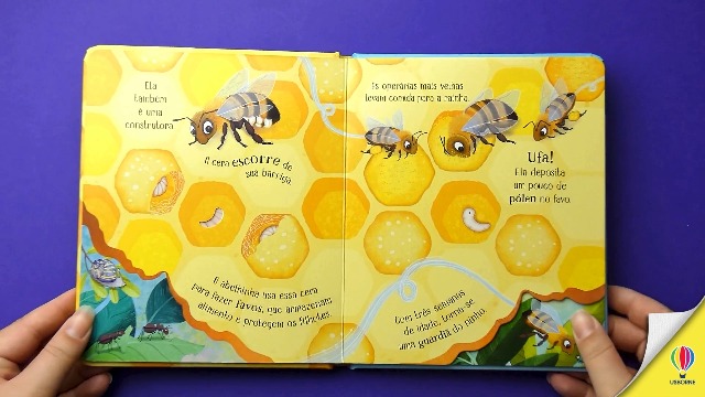 Ciclo De Vida Das Abelhas A Abelha: Ciclos Da Vida | Amazon.com.br