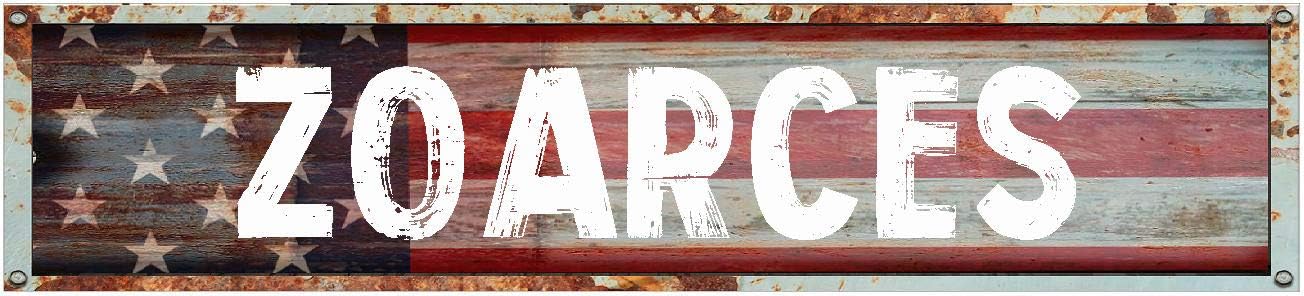 Amazon.com: ZOARCES 8" American Flag Patriotic Rectangle Paint ...