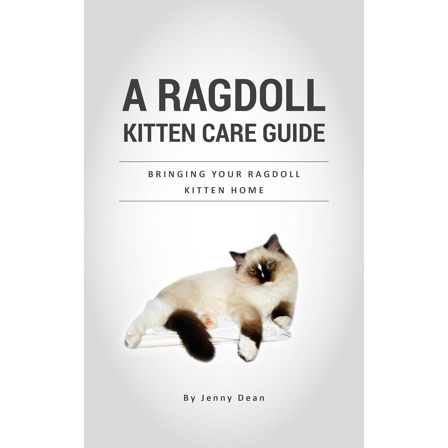 Amazon.com: A Ragdoll Kitten Care Guide: Bringing Your Ragdoll Kitten ...