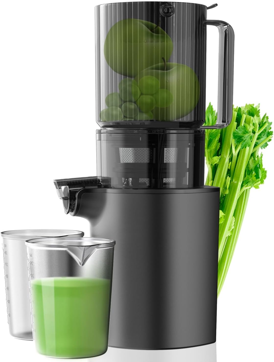 Amazon.com: Canoly Masticating Juicer, 4.1 Inch Reversible Feed Chute ...