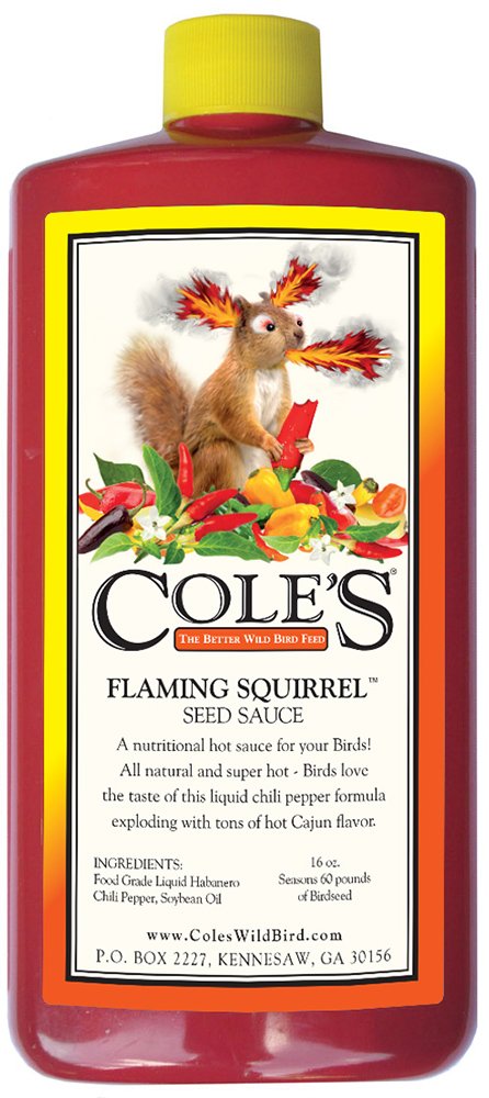 Snapklik.com : Coles FS16 Flaming Squirrel Seed Sauce