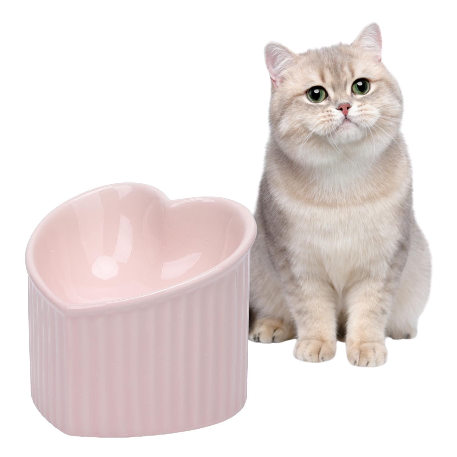 Amazon.com: Naiveferry Heart Shaper Ceramic Elevated Cat Bowls, Raised ...