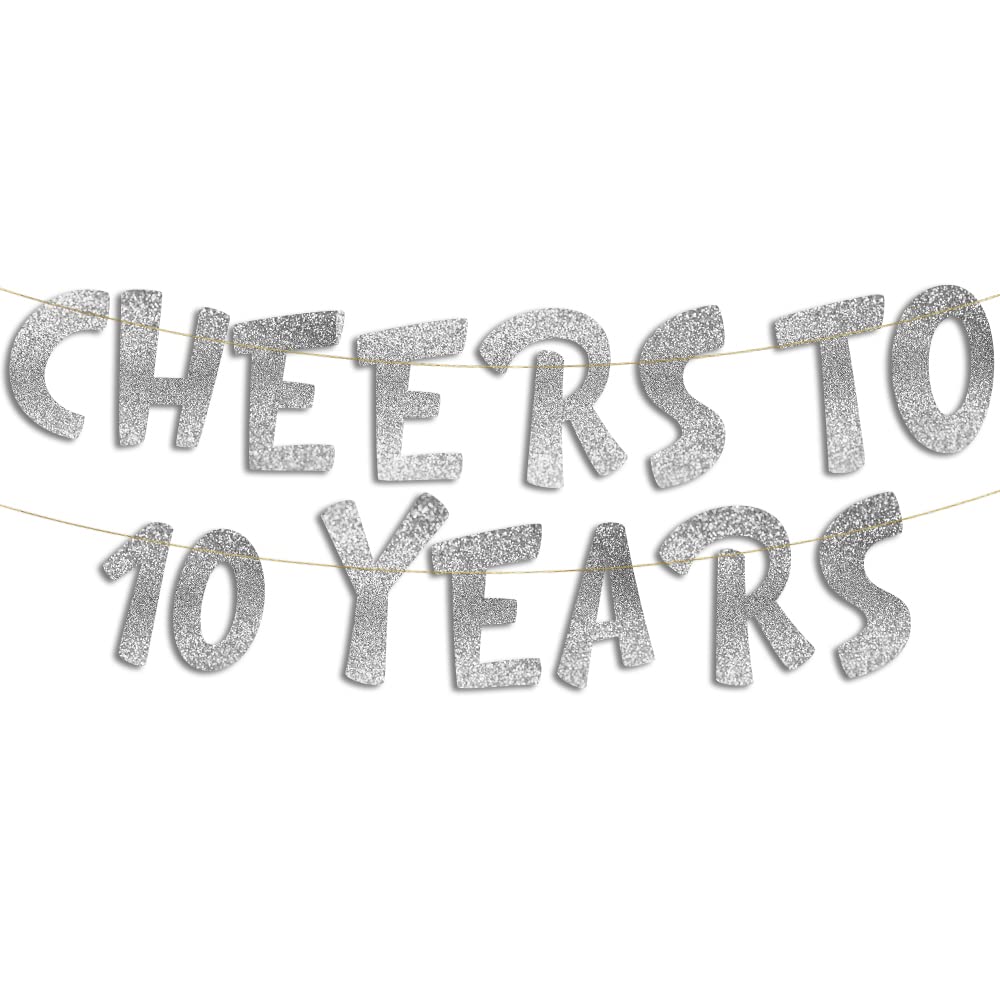 Amazon.com: Cheers to 10 Years Silver Glitter Banner - 10th Anniversary ...