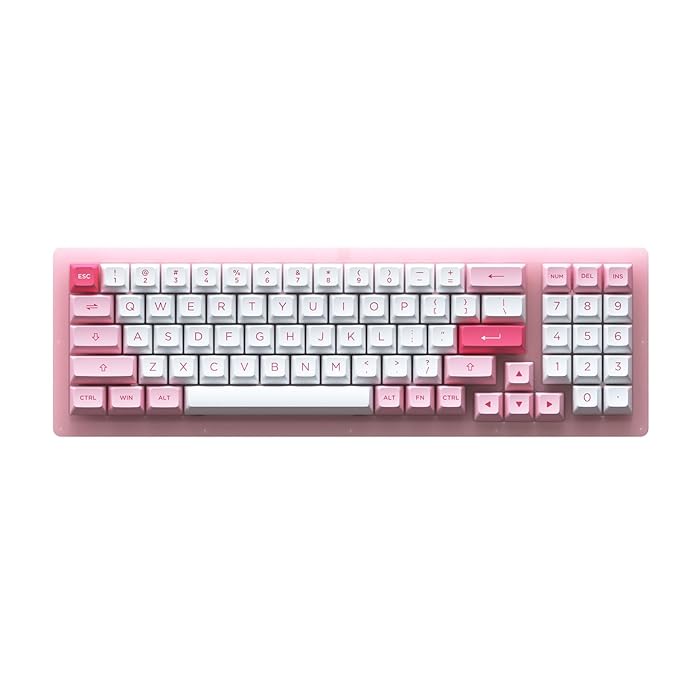 Buy Akko 78-Key RGB Hot-swappable Wired Mechanical Keyboard, Prunus ...