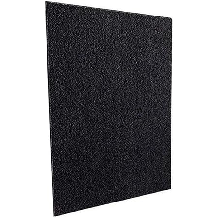 Amazon.com: GoodVac Replacement for Hunter F1700 Carbon Odor Absorbing ...